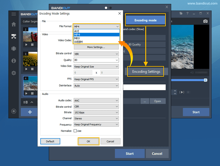 How to Convert, Resize & Edit Videos in Bulk | Bandicut