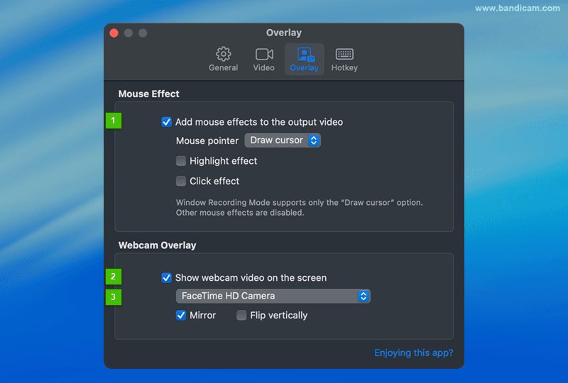 Бандикам для Mac: Руководство по настройкам наложения