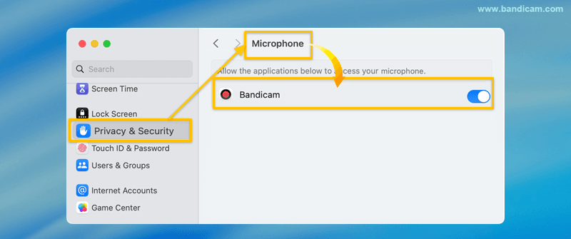 Record System Audio & Mic on Mac | Bandicam