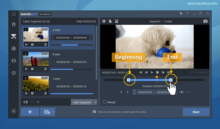 How to Convert, Resize & Edit Videos in Bulk | Bandicut